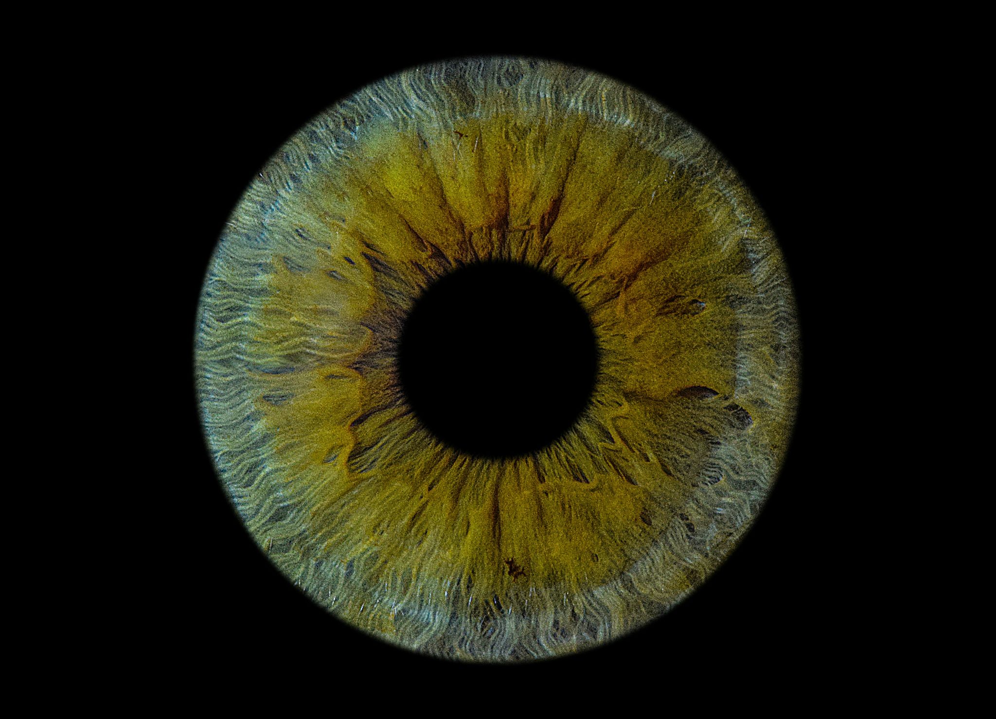Bleach in Eye: Treatment & Care | The Eye Center